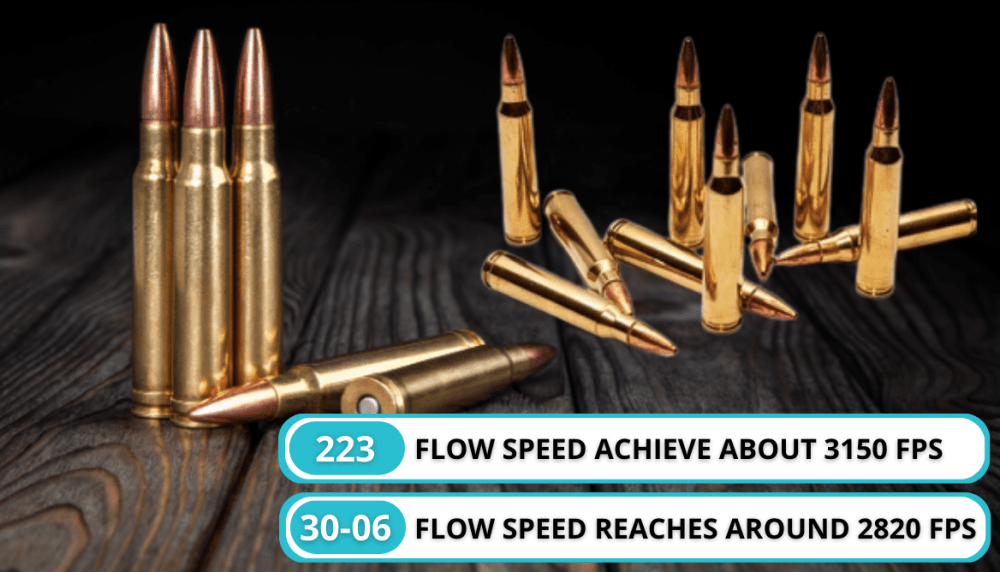 223 Vs 3006 Cartridge: Which is the Best One?