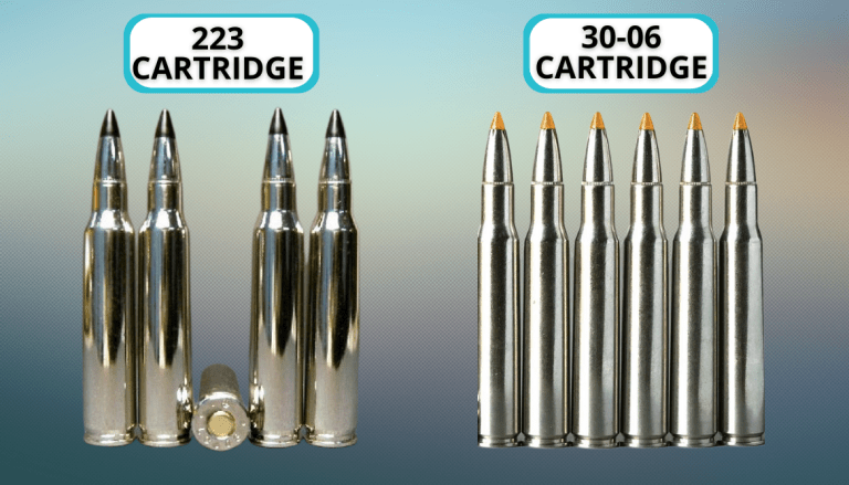 223 Vs 3006 Cartridge: Which is the Best One?