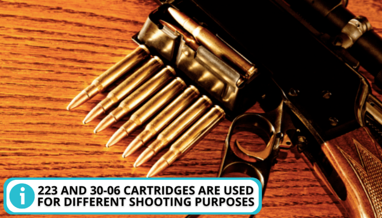 223 Vs 3006 Cartridge: Which is the Best One?